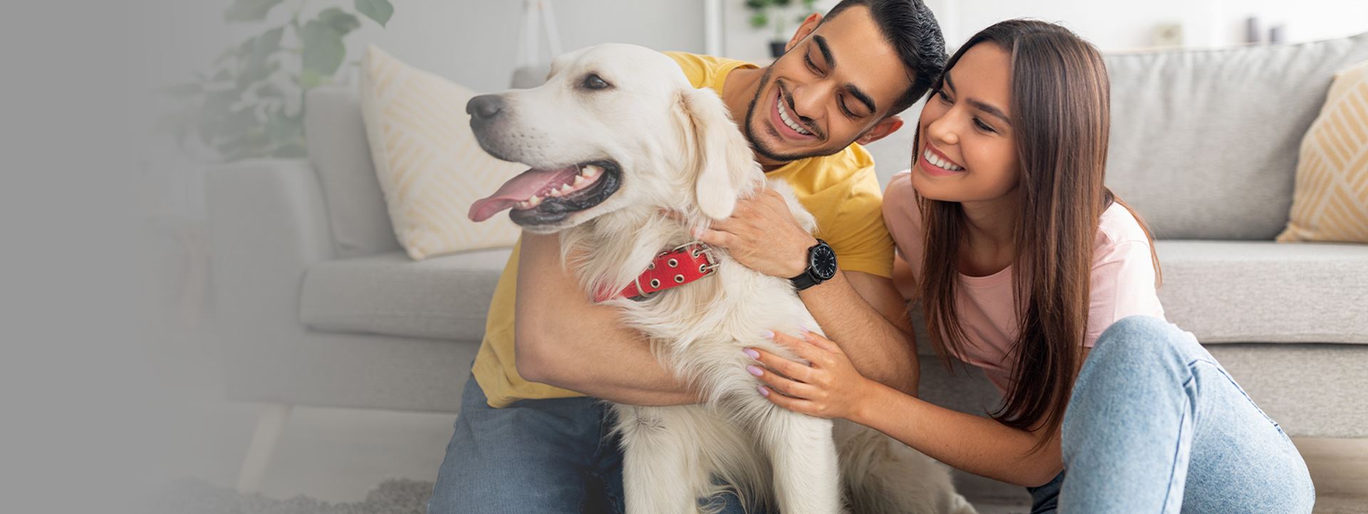 Marshalltown Pest Control | Schendel Pest Control