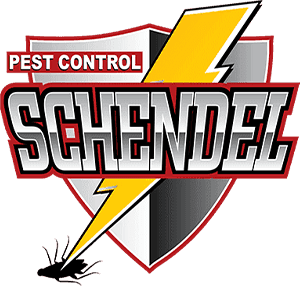 Marshalltown, IA Pest Control | Schendel Pest Control Co., Inc